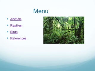 Jungles Powerpoint | PPTX