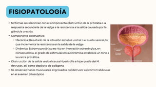 Hiperplasia prostatica benigna urología. | PDF