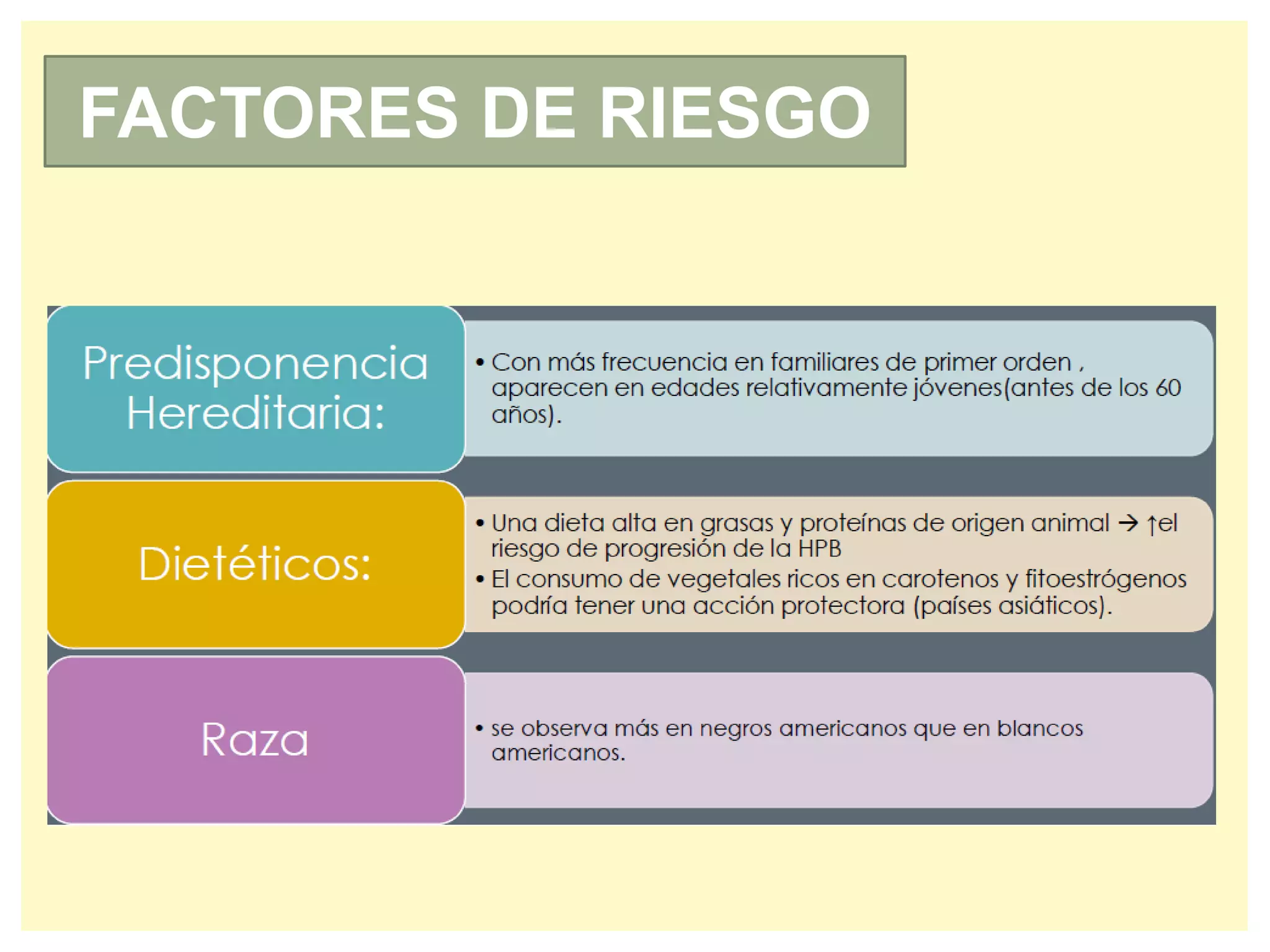 Hiperplasia Benigna de Próstata y su anatomía | PPT