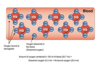 Non invasive hemoglobin estimation using iot | PPT