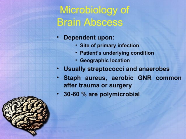 BRAIN ABSCESS | PPT