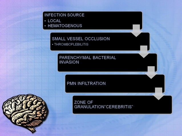 BRAIN ABSCESS | PPT