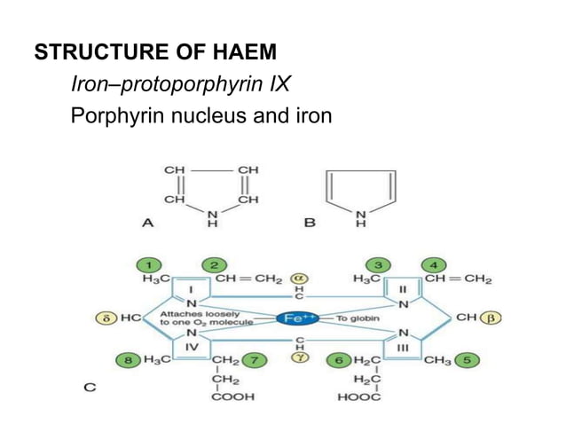 HAEMOGLOBIN STRUCTURE & FUNCTION | PPT | Blood Disorders | Diseases and ...