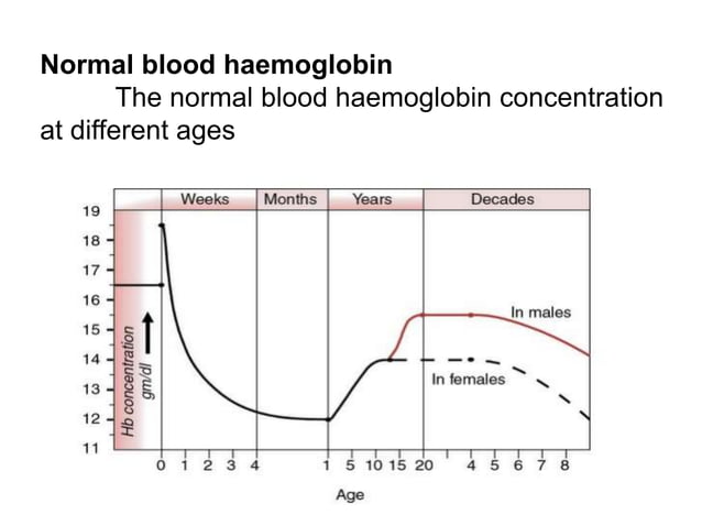 HAEMOGLOBIN STRUCTURE & FUNCTION | PPT | Blood Disorders | Diseases and ...