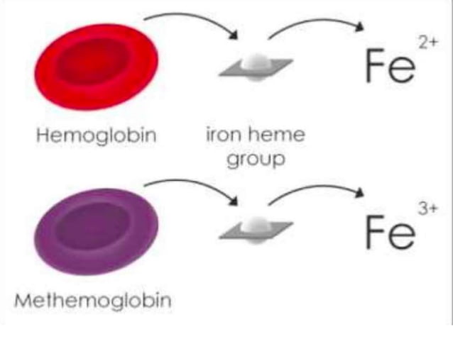 HAEMOGLOBIN STRUCTURE & FUNCTION | PPT | Blood Disorders | Diseases and ...