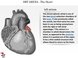 Do you Know your Heart? | PPT