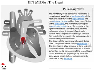 Do you Know your Heart? | PPTX