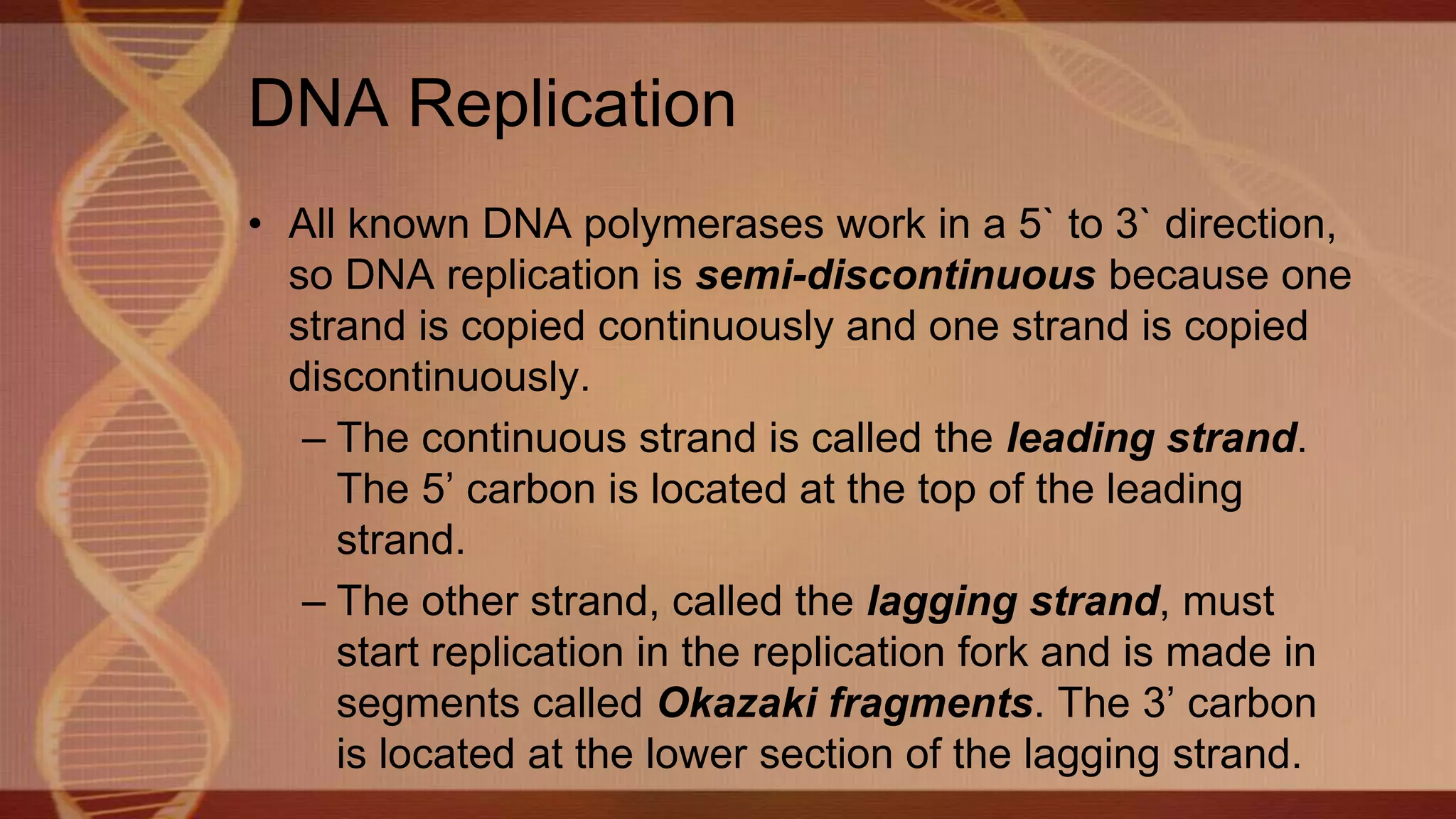 HBU5.2 DNA Replication | PPT