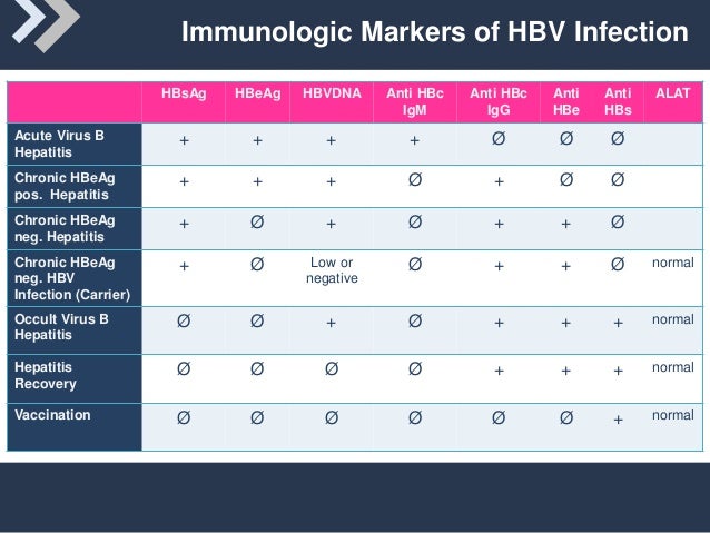 Hbv (2)