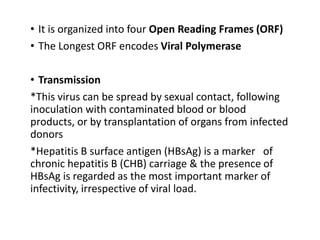 Hbv infection | PPT