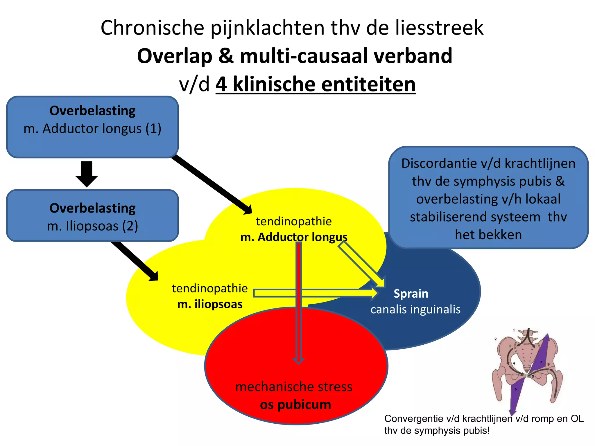 Hc 2.2.12 'sportletsels thv het ol (deel 2)' aj 20102011 | PPT
