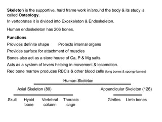 Chapter_16_Skeleton__Movement.pptx