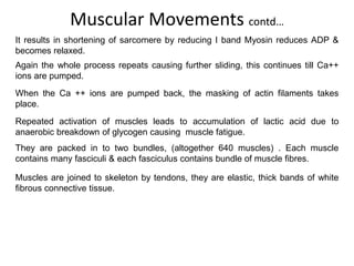 Chapter_16_Skeleton__Movement.pptx