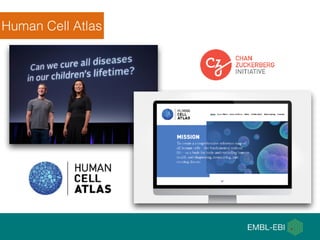 Human Cell Atlas Data Coordination Platform | PDF
