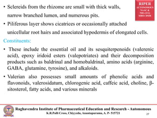 Monographs of Herbal Drugs Study in British Herbal Pharmacopoeia and ...