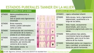 Historia Clínica del adolescente | PPTX