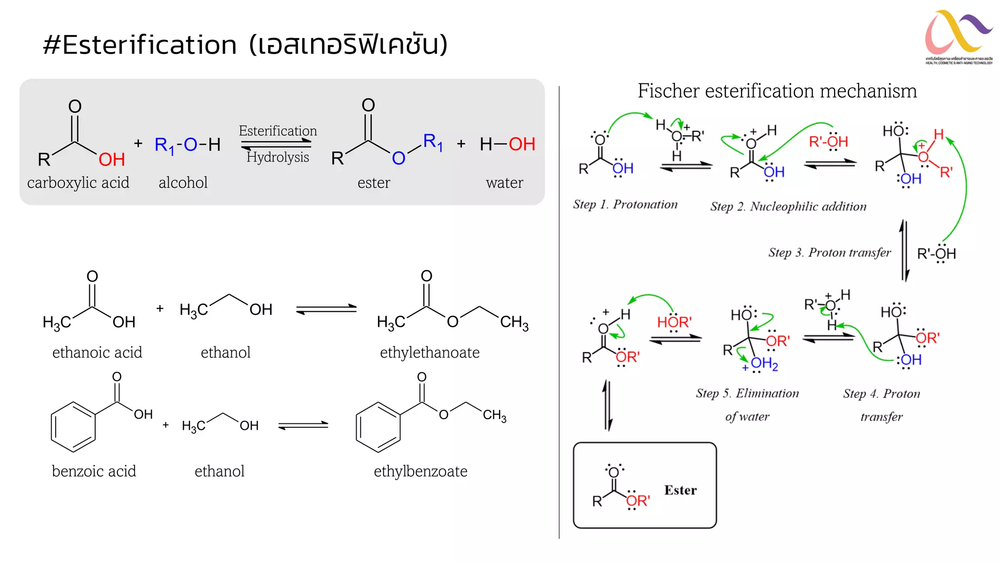 แอลกอฮอล์และฟีนอล (Alcohols and Phenols) | PDF