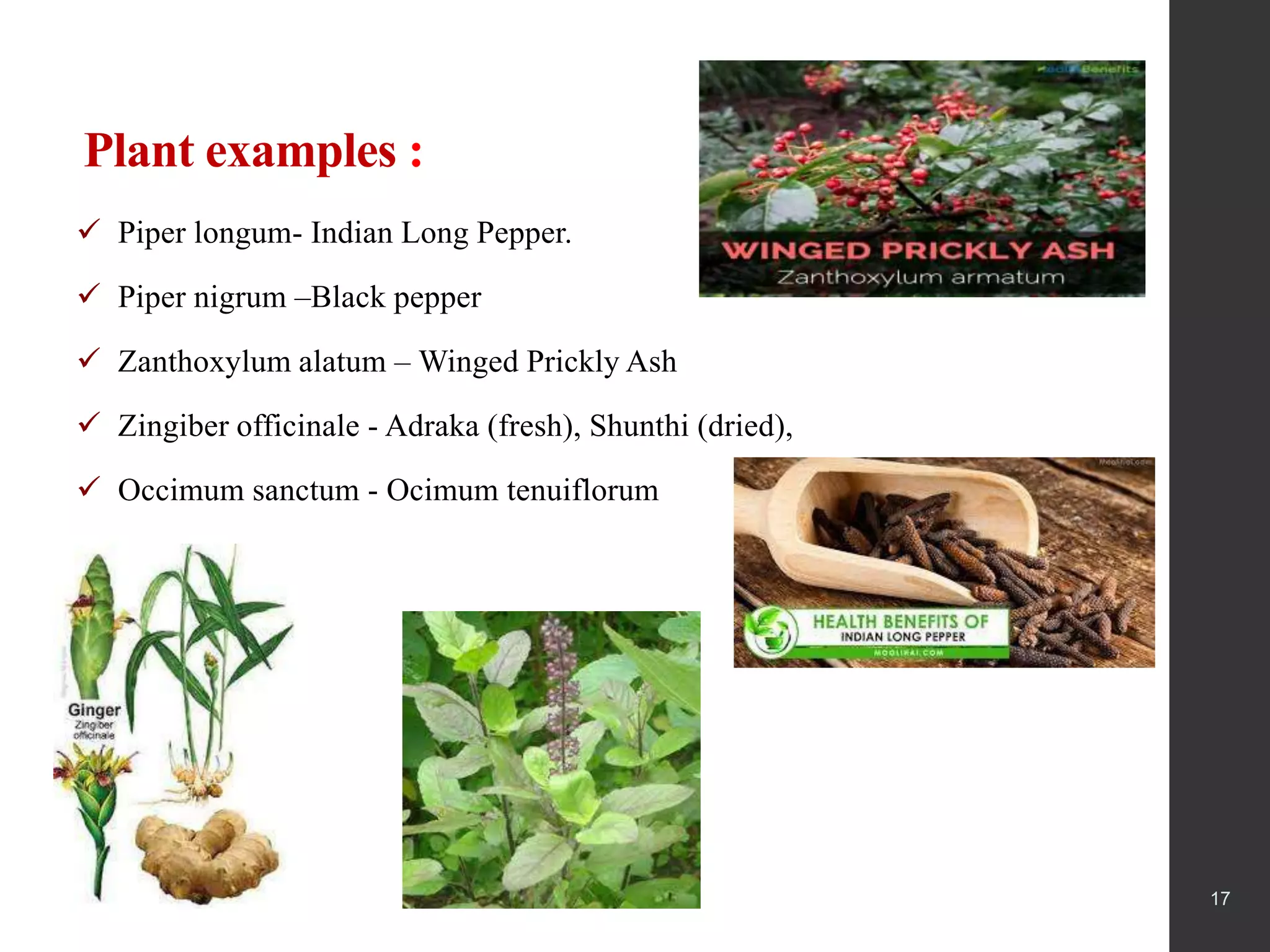 Monographs Of Herbal Drugs and Comparative Study In Various Pharmacopoeias. | PPTX