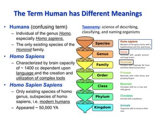 Made in the Image of God | PPT