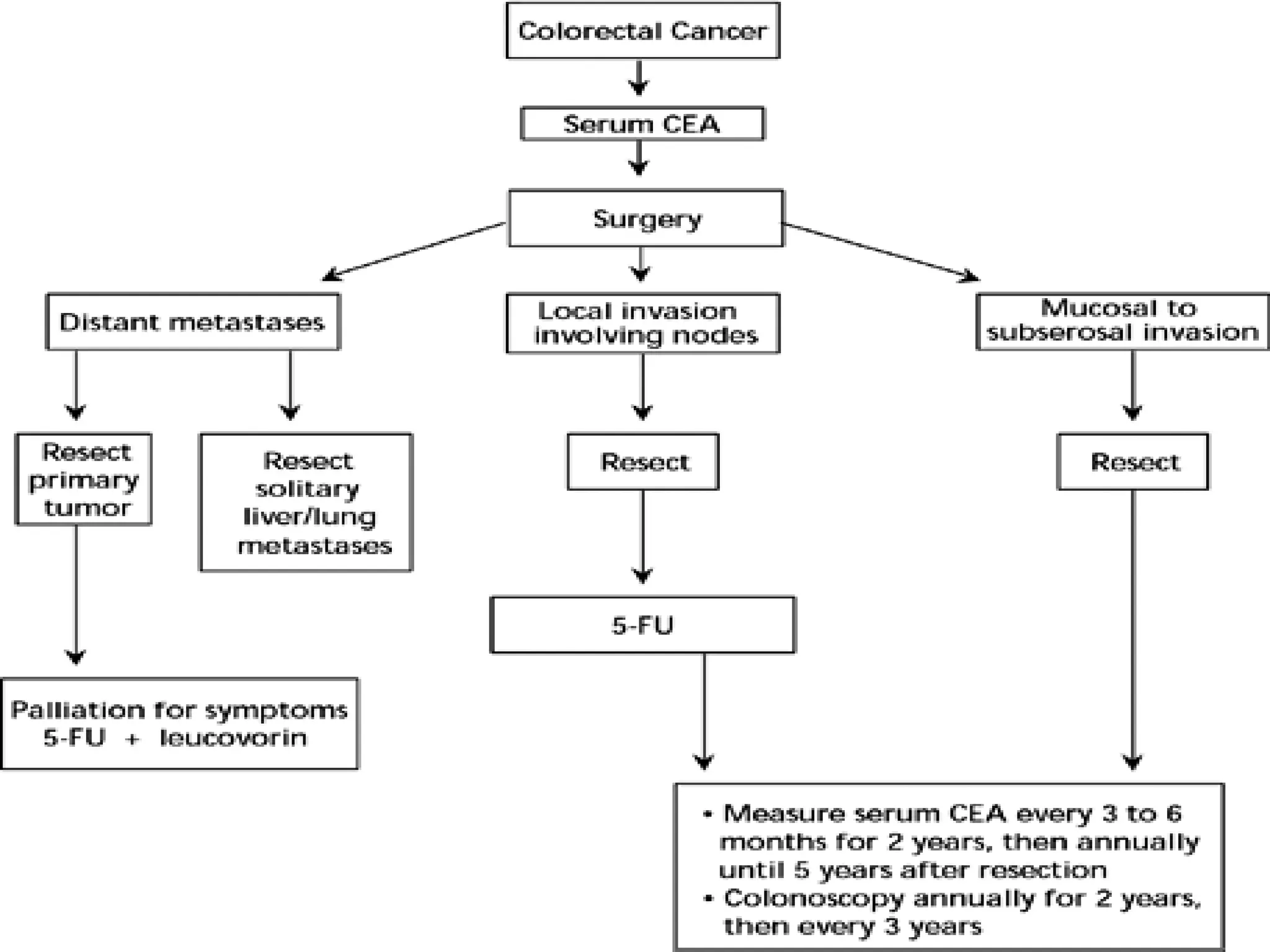 HCC Colon CA 3rd mbbs year students .pptx
