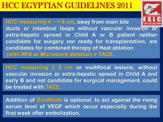 Hcc egyptian guidelines overview Prof ezz elarab | PPT