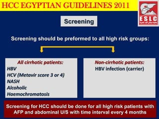Hcc egyptian guidelines overview Prof ezz elarab | PPTX