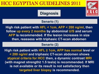 Hcc egyptian guidelines overview Prof ezz elarab | PPTX