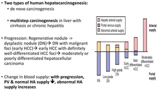 Hcc(hepatocellular carcinoma) | PPTX