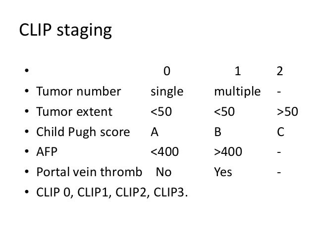 Hepatocellular Carcinoma