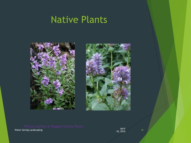 Hcd p12-maria fernanda granja -practica #13-animacion y exportacion de diapositivas.pdf