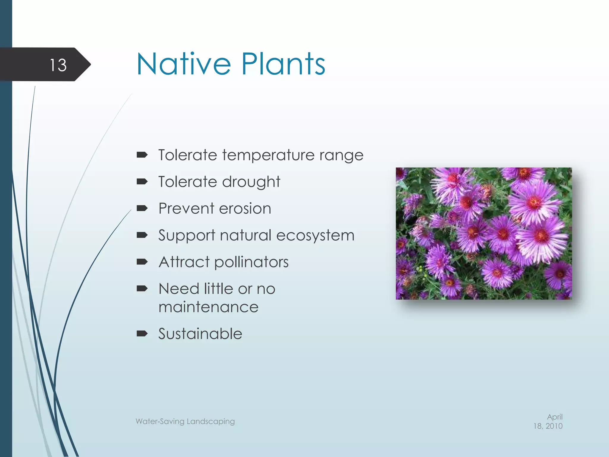 Hcd p12-tatiana zambrano-practica 13- animacion y exportacion de diapositivas. | PPTX ...