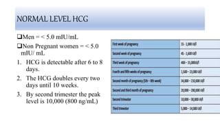Human chorionic gonadotropin HCG. | PPTX
