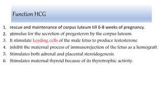 Human chorionic gonadotropin HCG. | PPT | Free Download