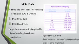 hCG Hormone 01.pdf