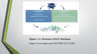 hCG Hormone 01.pdf