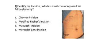 HCG QUIZ full final .pptx