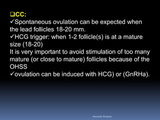 HCG timing | PDF