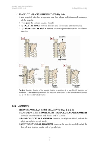 human-anatomy-synopsis-axilla-upper-limb.pdf