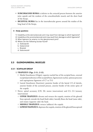 human-anatomy-synopsis-axilla-upper-limb.pdf