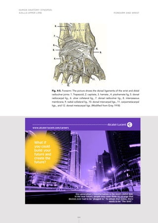 human-anatomy-synopsis-axilla-upper-limb.pdf