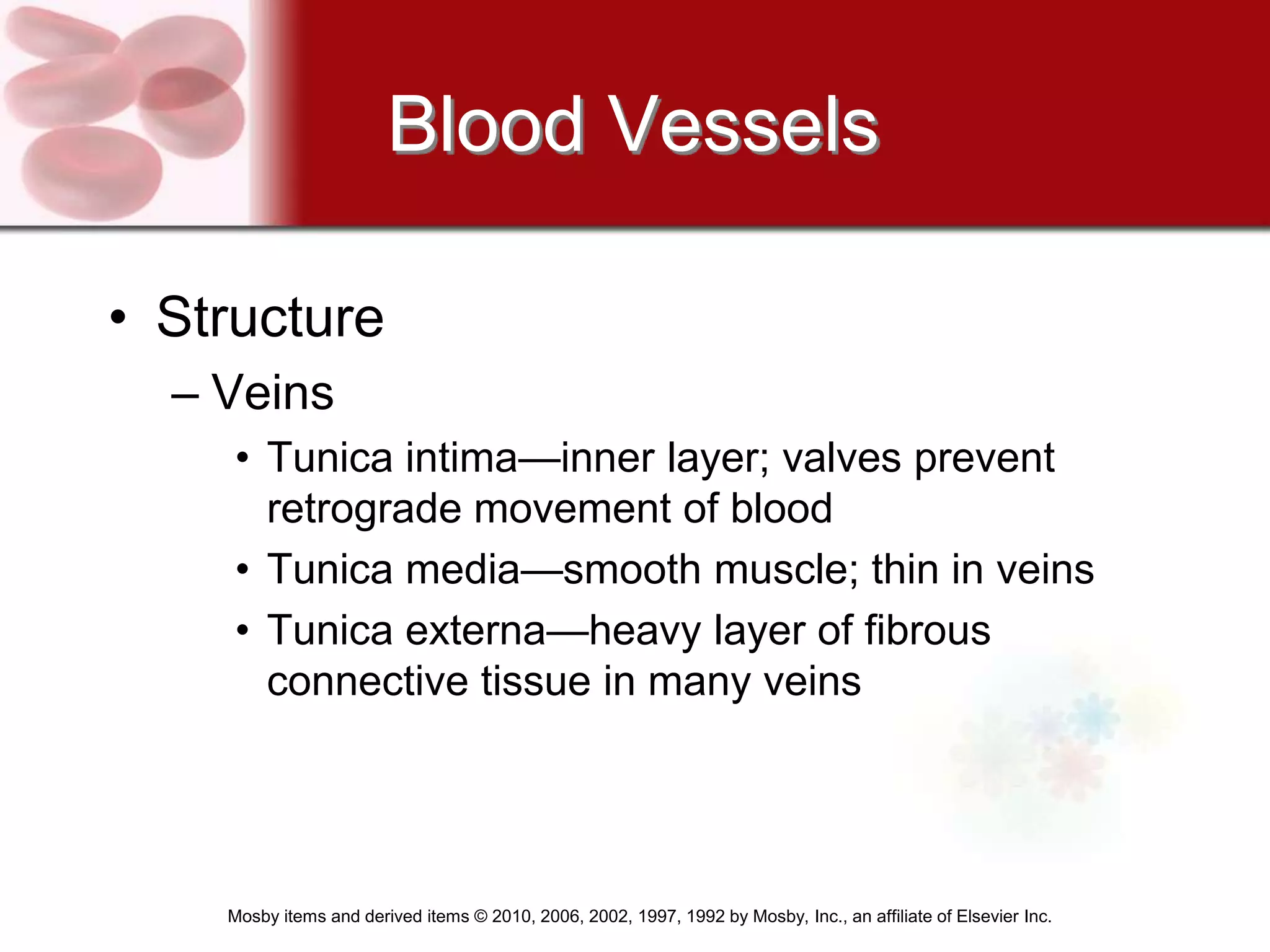 H circulatory system | PPTX | Heart and Cardiovascular Diseases ...