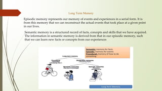 Human computer interaction with the complete syllabus | PPTX
