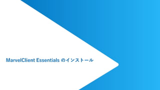 MarvelClient Essentials (無償版)による HCL Nomad の設定管理 | PDF