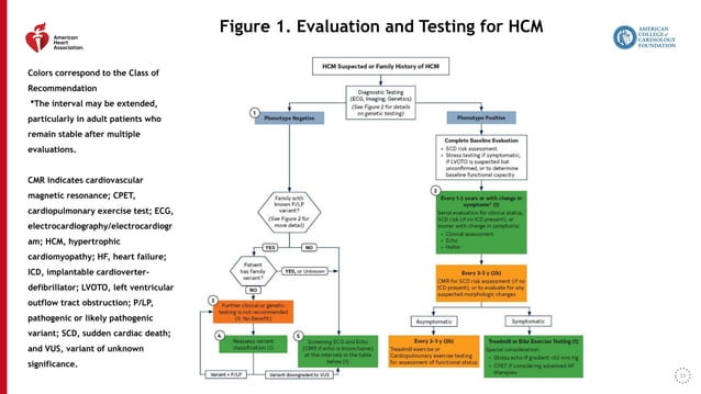 HCM-Guidelines-Slide-Set-gl-hcm.pptx 2021 | PPT