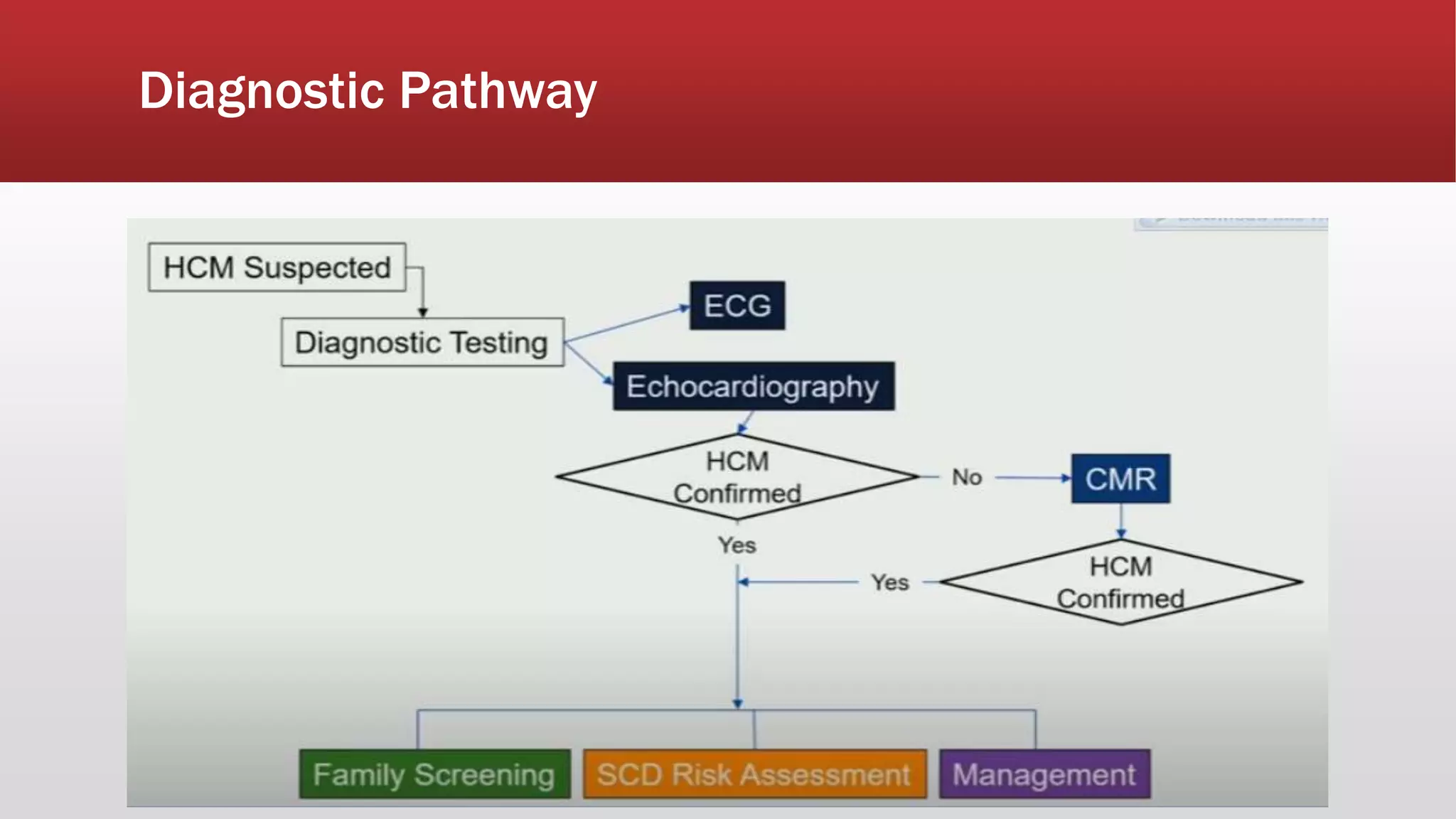 HCM Hypertrophic cardiomyopathy.pptx