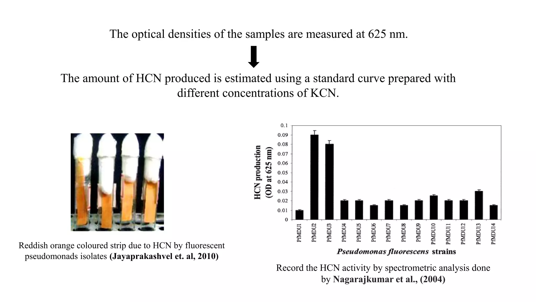 Isolation, screening and quantification of Hydrogen Cyanide (HCN ...