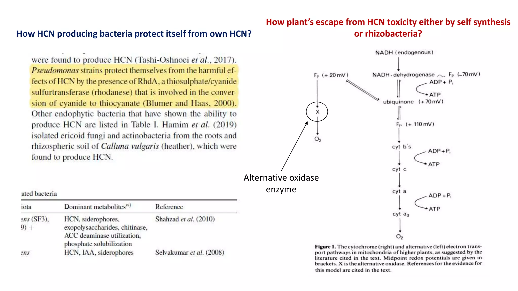Isolation, screening and quantification of Hydrogen Cyanide (HCN ...