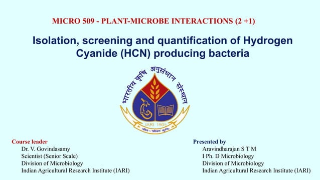 Isolation, screening and quantification of Hydrogen Cyanide (HCN ...