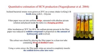 Isolation, screening and quantification of Hydrogen Cyanide (HCN ...