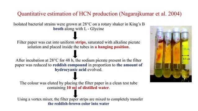 Isolation, screening and quantification of Hydrogen Cyanide (HCN ...